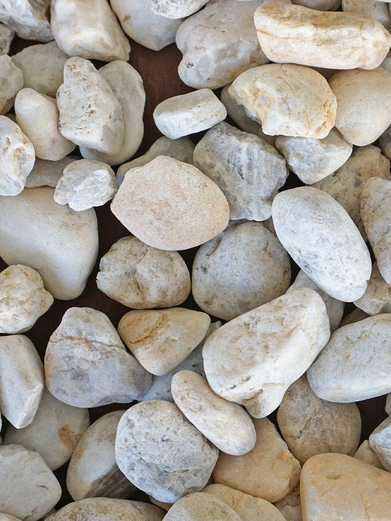 American Pond and Gardens