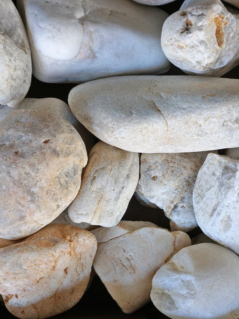 American Pond and Gardens