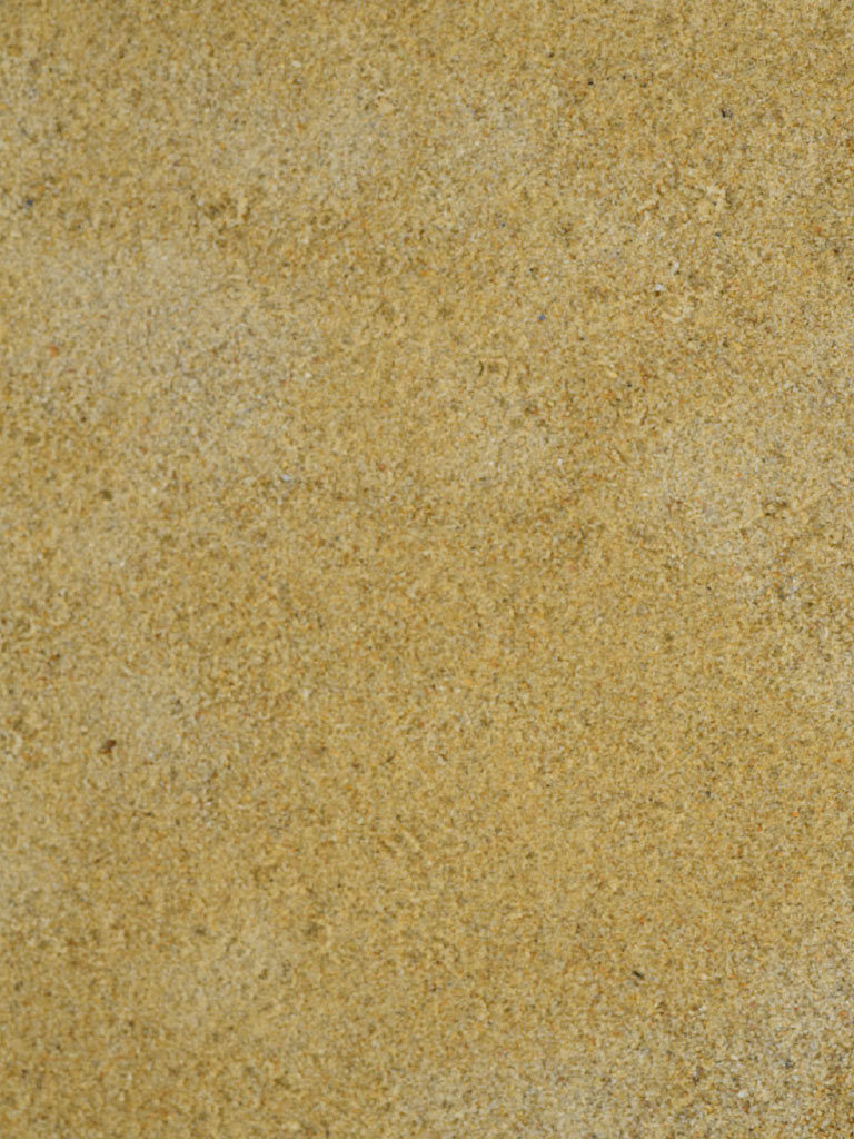 Mason Sand – American Pond and Gardens
