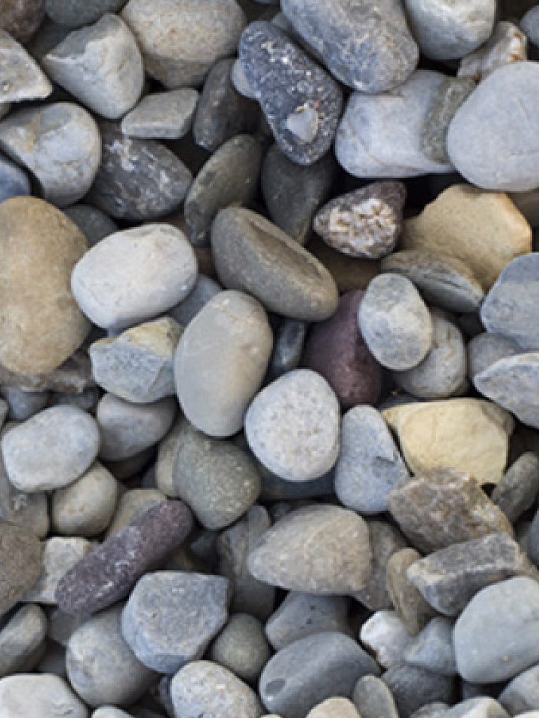 River Jack 3-5" – American Pond and Gardens